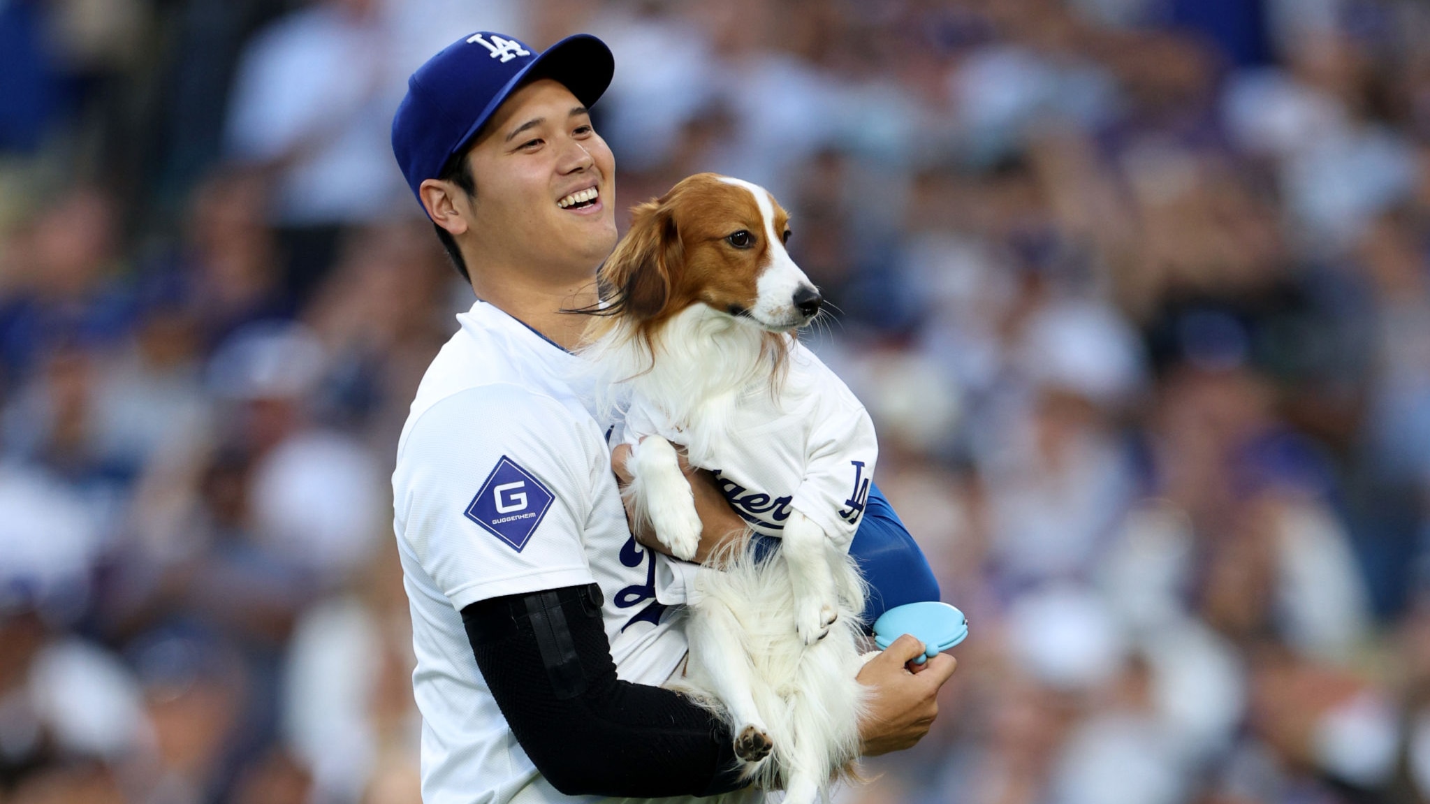 Vladimir Guerrero Jr. Wants to Give World Series Ring to Dad If Blue Jays Win Title