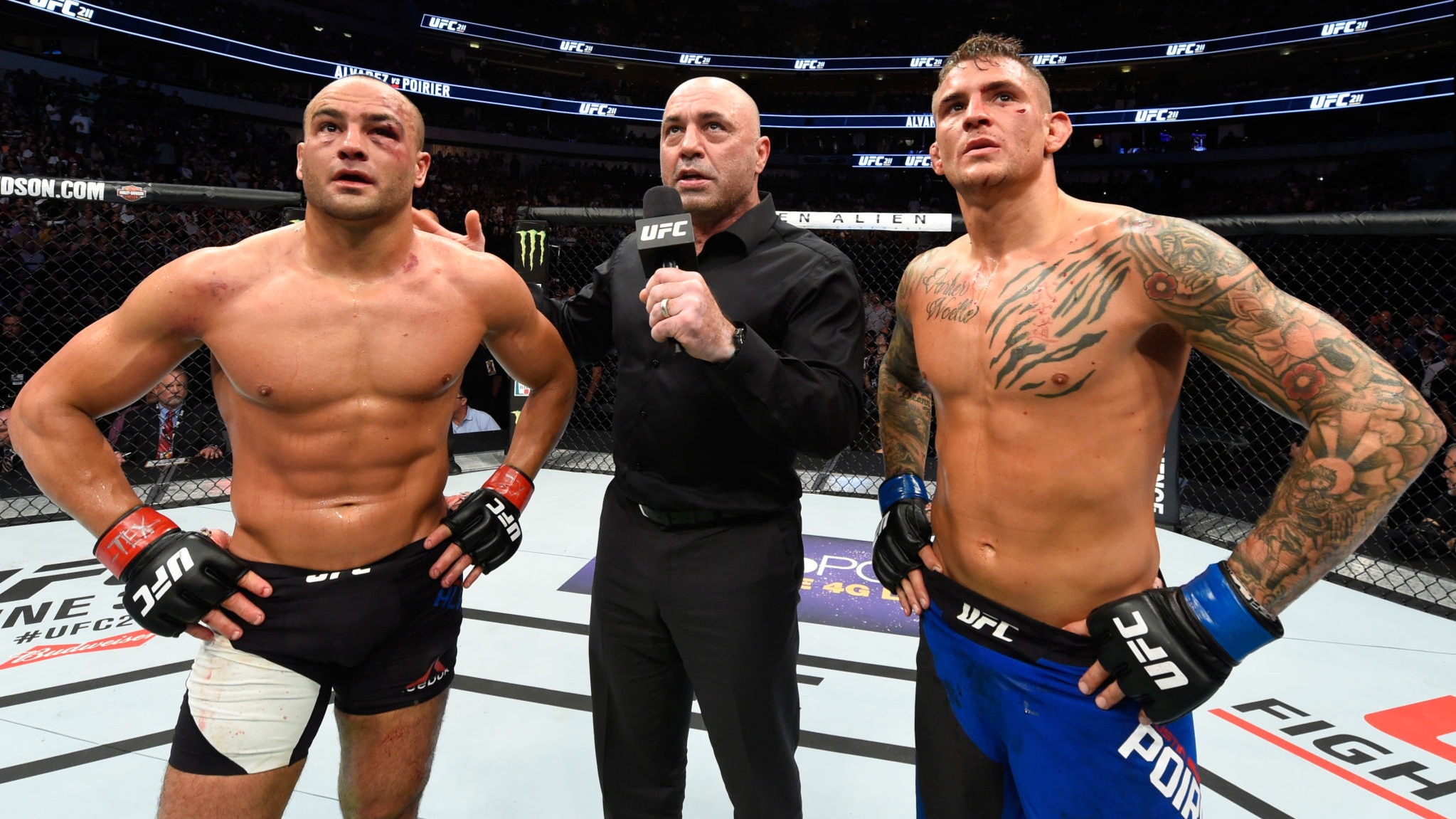 UFC Legend Wanderlei Silva Knocked Out During Post-Fight Brawl on Video